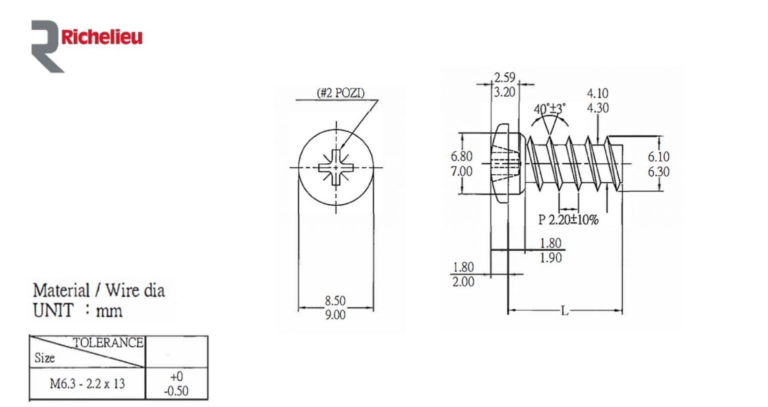 Nickel Euro Screw M6.3, Pan Head, Pozi Drive – Craft Supply
